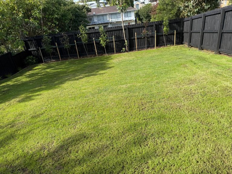 Lawn Mowing West Auckland | Best Lawn Care Service