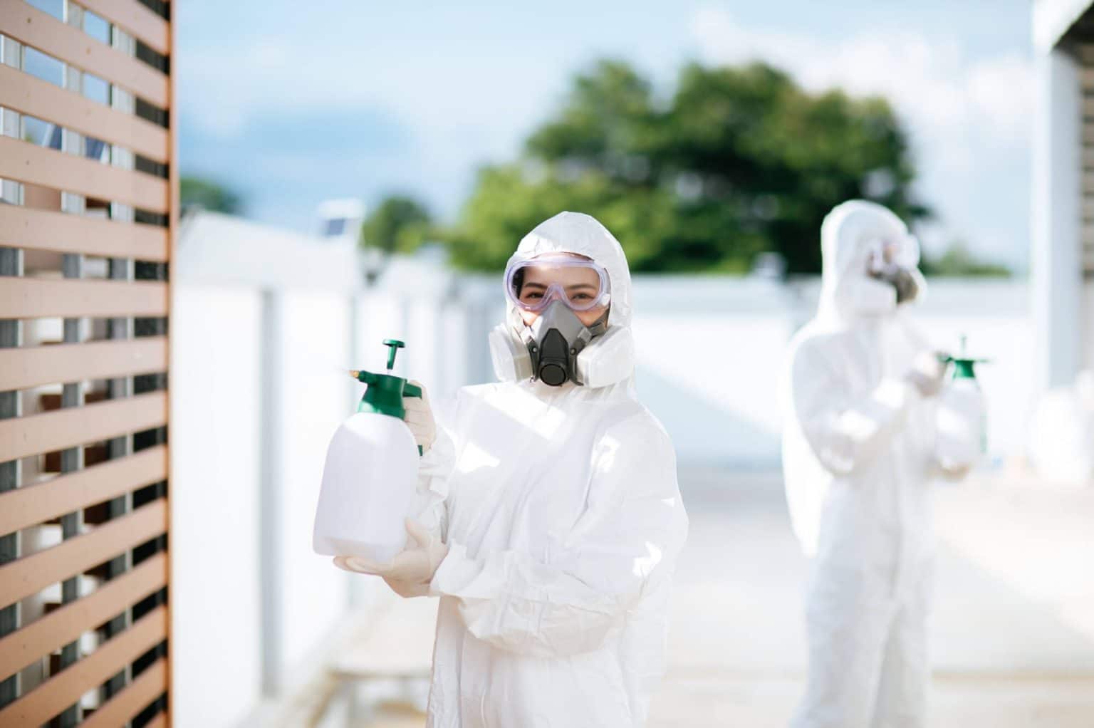 Pest Control Auckland | Professional Pest Extermination SPS